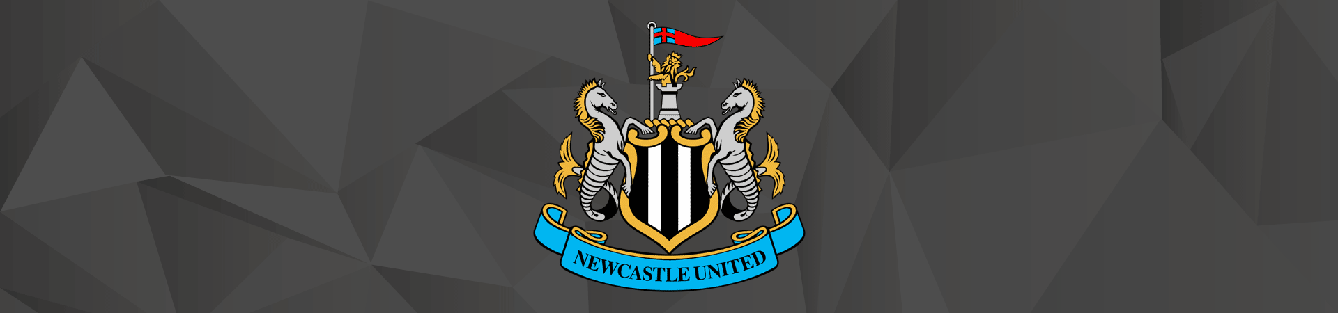 Supporters Newcastle United