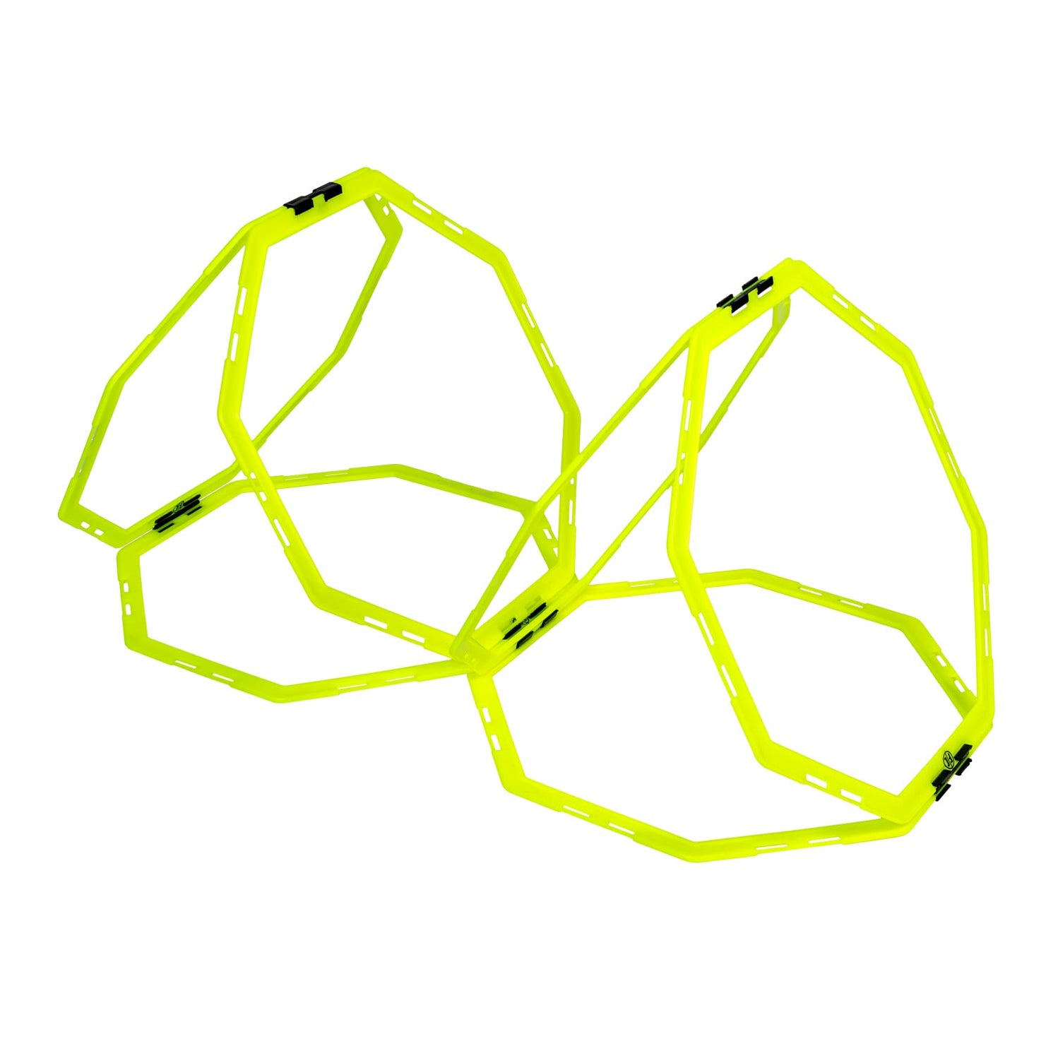 FC Octagon Agility Ring Ladder